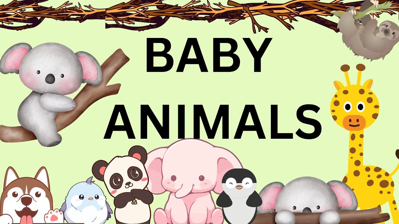 Baby animals | Animals and their young ones | Animal babies | Animals ...