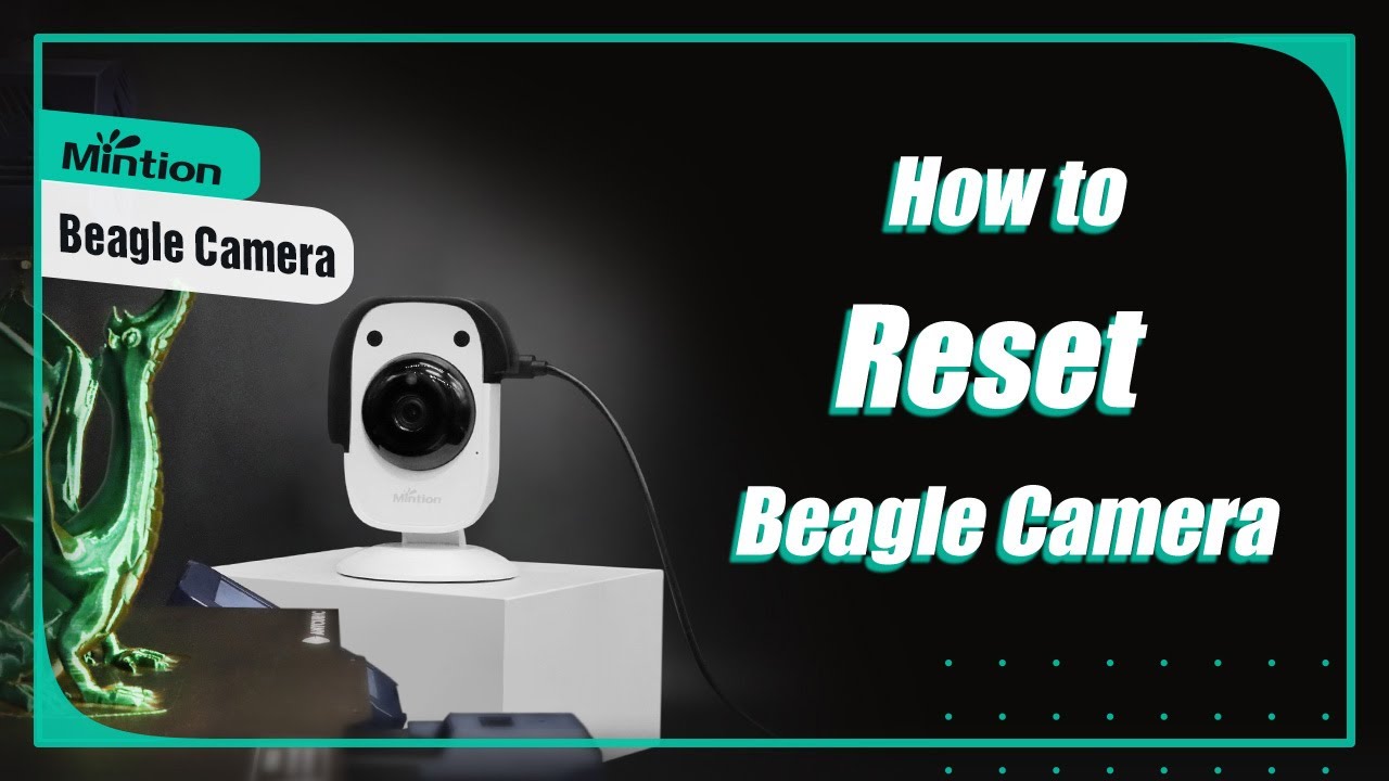 05---How to Reset the Beagle Camera - YouTube