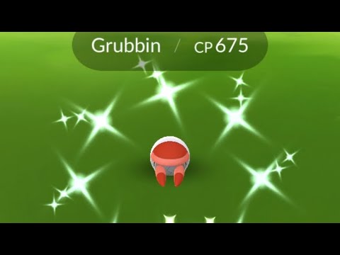 Shundo in First attempt Grubbin Community Day in Pokémon Go - YouTube