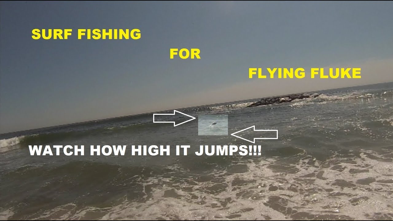 Fluke (Summer Flounder) Fishing From Shore - YouTube