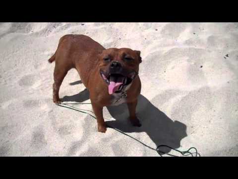 A Day WIth Miss Nani...