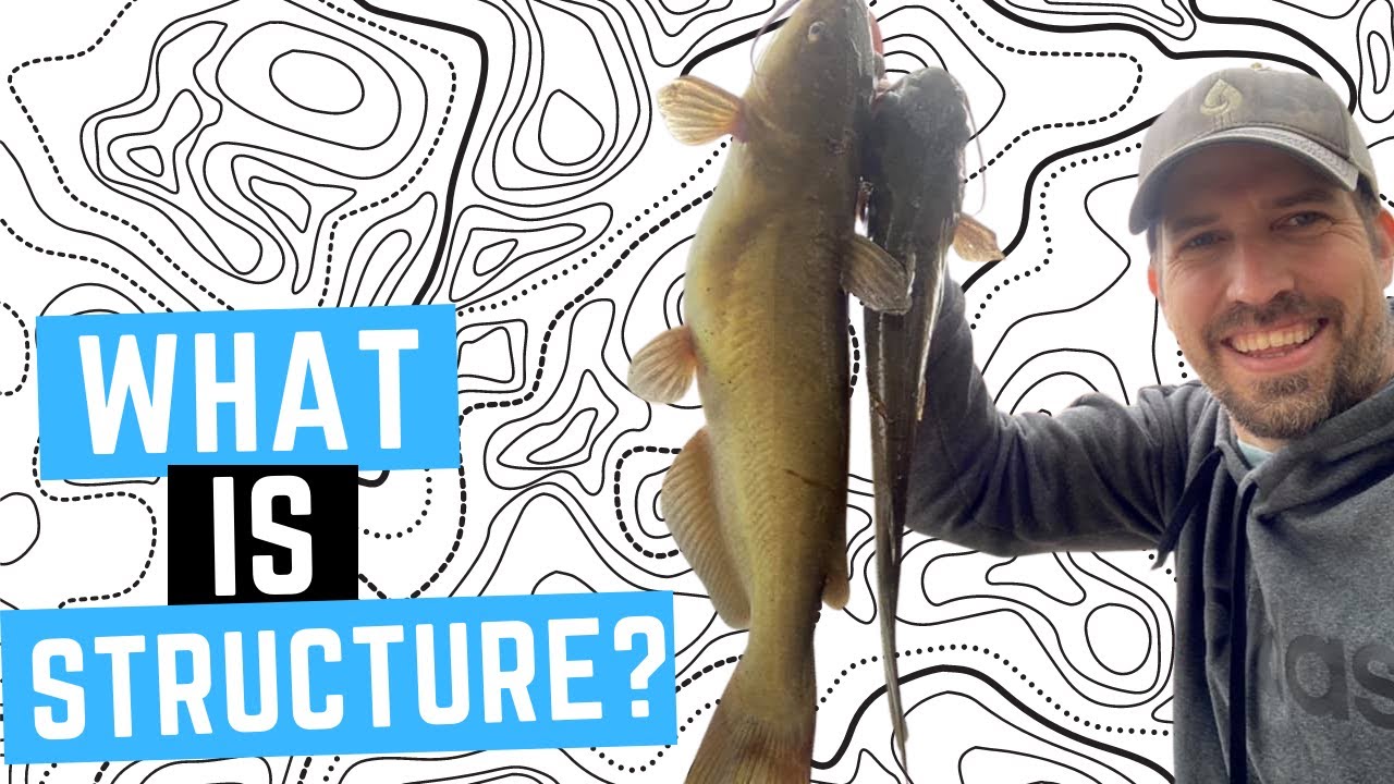 What is Fishing STRUCTURE? #shorts - YouTube