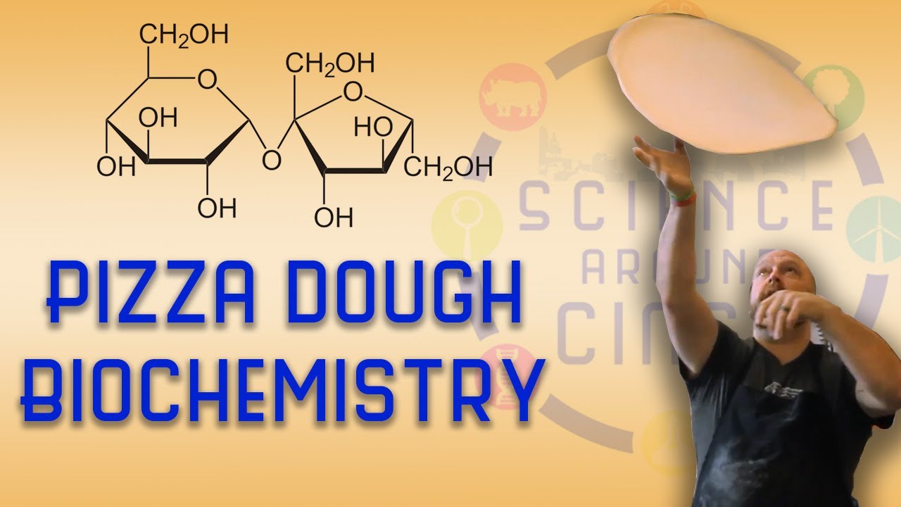 Pizza Dough Biochemistry - Fireside Pizza | Science Around Cincy - YouTube