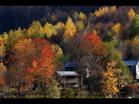Bölüklü Yayla Kamp  Zonguldak - Kasım 2008