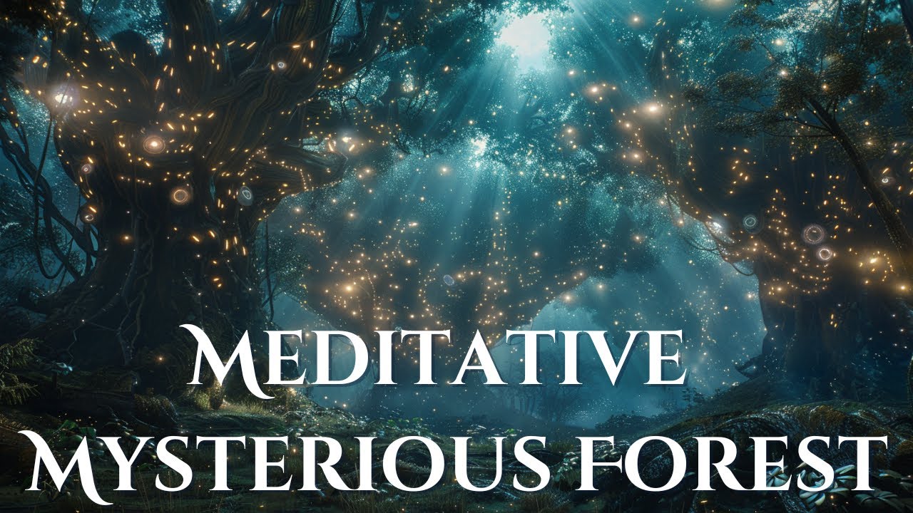 【#meditation】Meditative Mysterious Forest: Journey into the Enchanted ...