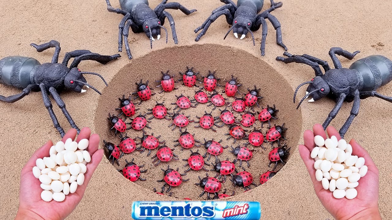 Mentos VS Coca Cola, Sprite, Monster, Fanta, different Toy insect and ...