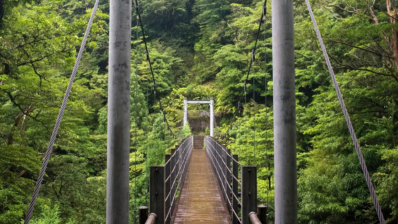 Wayne Hamlin Live Stream - YouTube