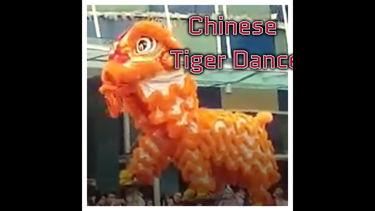 Chinese Tiger Dance - YouTube