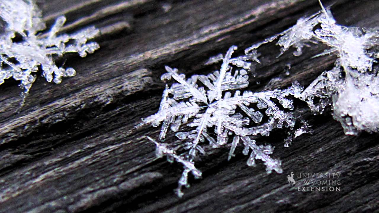 How do Snowflakes Form? - YouTube