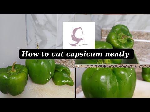How to cut capsicum | fastest way to cut capsicum | Shimla mirch ...