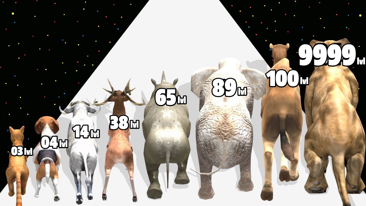 Animal Run Transform Evolution - Level Up Animal Max Level Gameplay - YouTube
