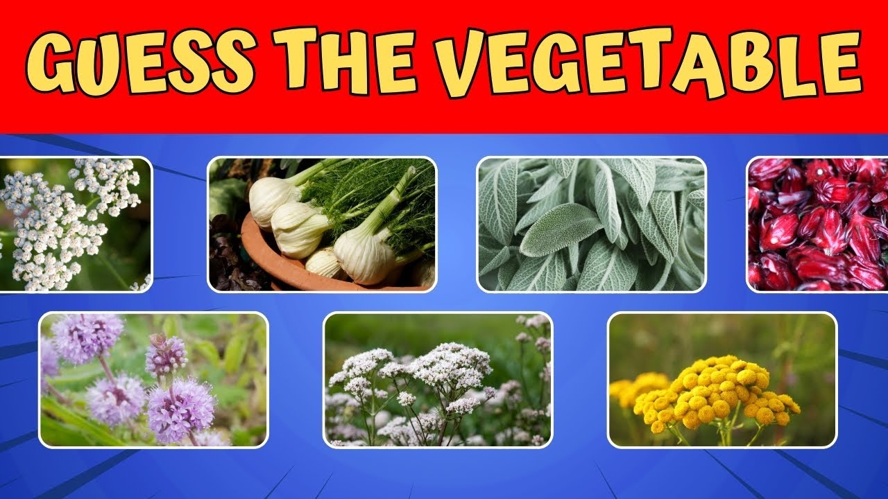 Vegetable quiz | Can you guess these Vegetable in 3 seconds. #popquiz # ...
