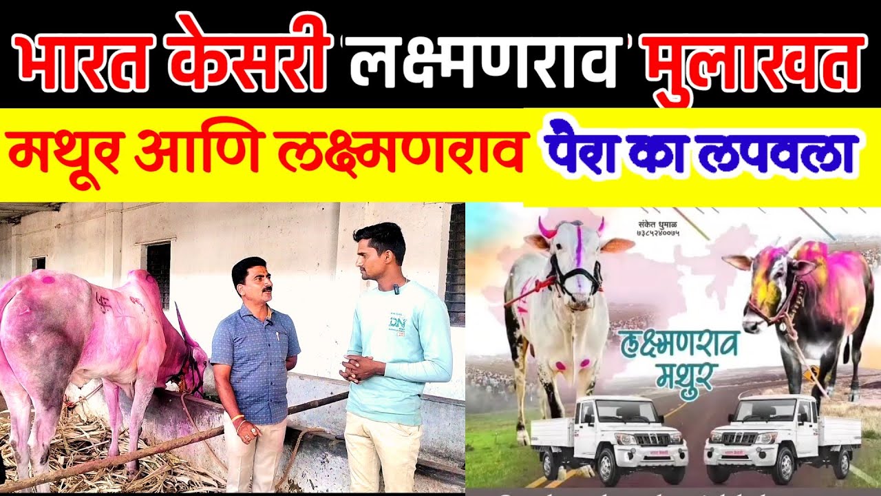 कलेढोन करांचा लक्ष्मणराव मुलाखत/kaledhon lakshimanrav mulakhat/bharat ...