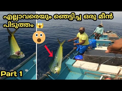 അയക്കൂറ പിടിക്കാൻ പോയ ഞങ്ങൾക്ക് കിട്ടിയത് പാലാമീൻ| We went to king ...