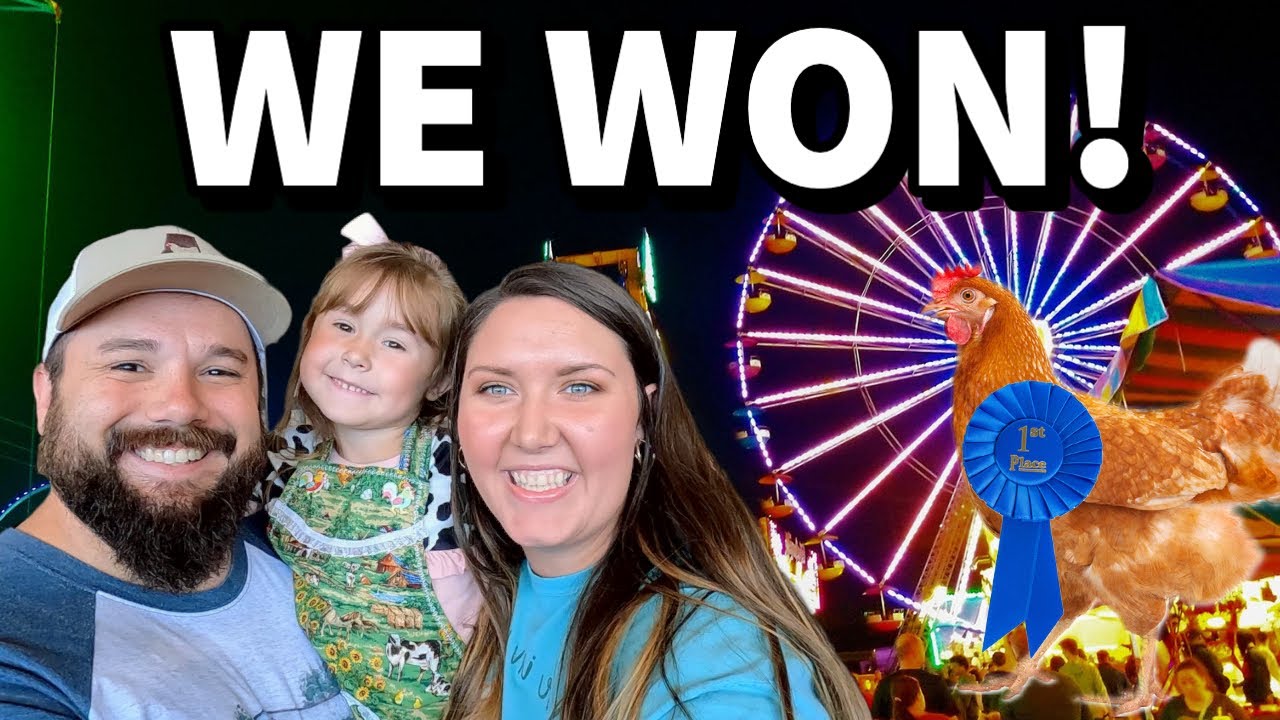 We Won a Blue Ribbon at the Fayette County Fair! Chicken Show, Farm ...