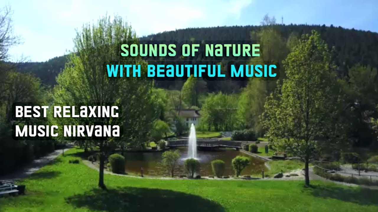 Sounds of nature with beautiful music - YouTube