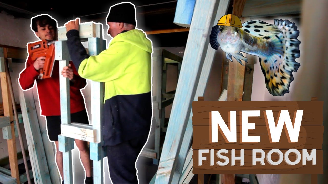 How to Build a Fish Room: Racking (Part 2) - YouTube