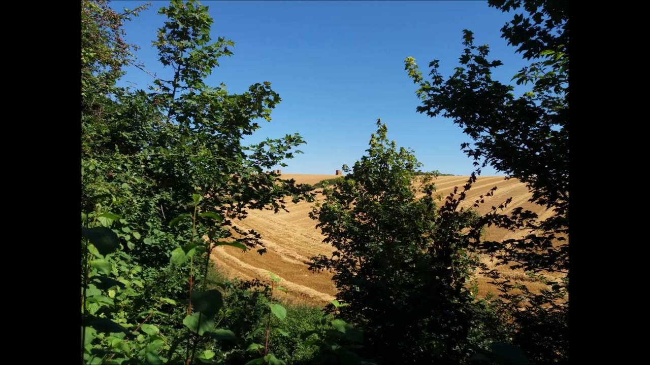 South Wonston - YouTube