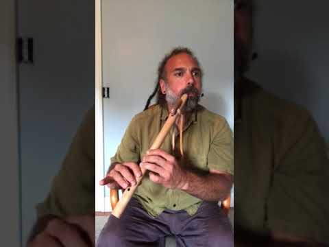 A flat ako eastern tuning by singingtreeflutes