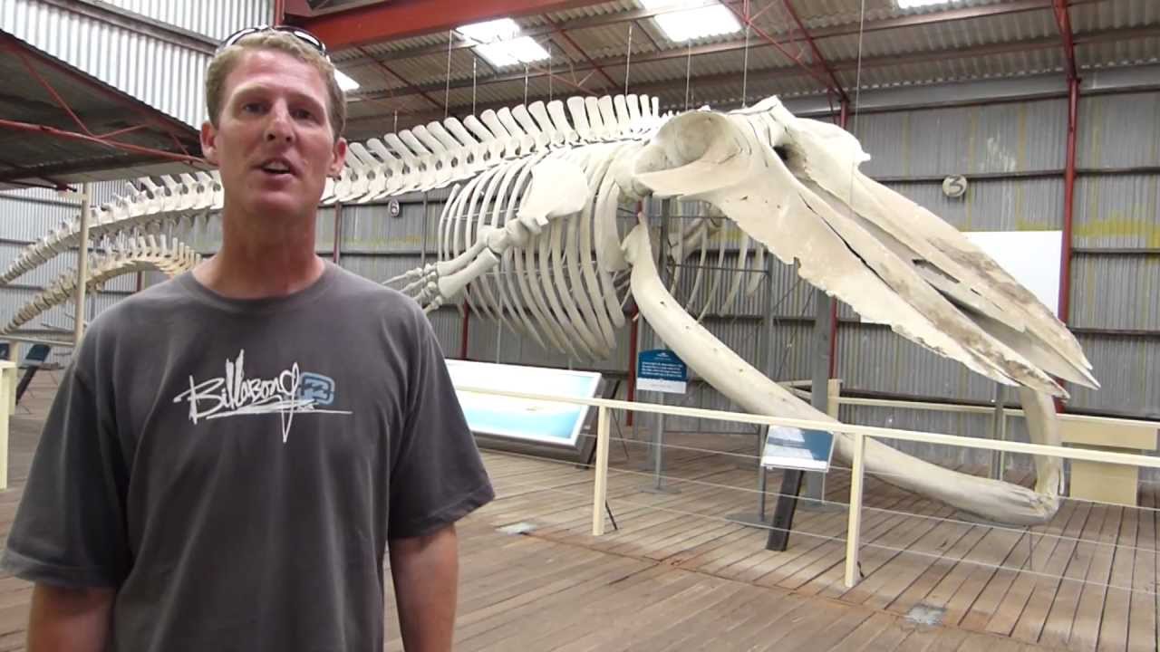 Australian Whaling Ship - Whaleworld Albany Western Australia - YouTube