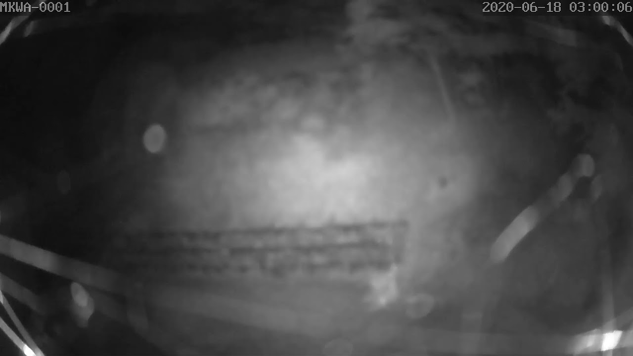 MKWA-0001 のライブ ストリーム - YouTube