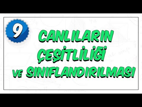 9.Sınıf Biyoloji | Canlıların Çeşitliliği ve Sınıflandırılması