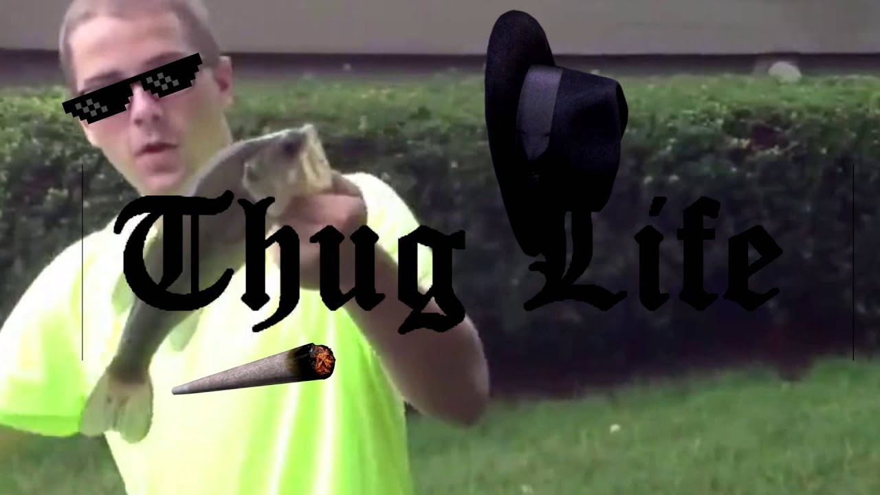 Guy caught a fish in canalisation THUG LIFE - YouTube