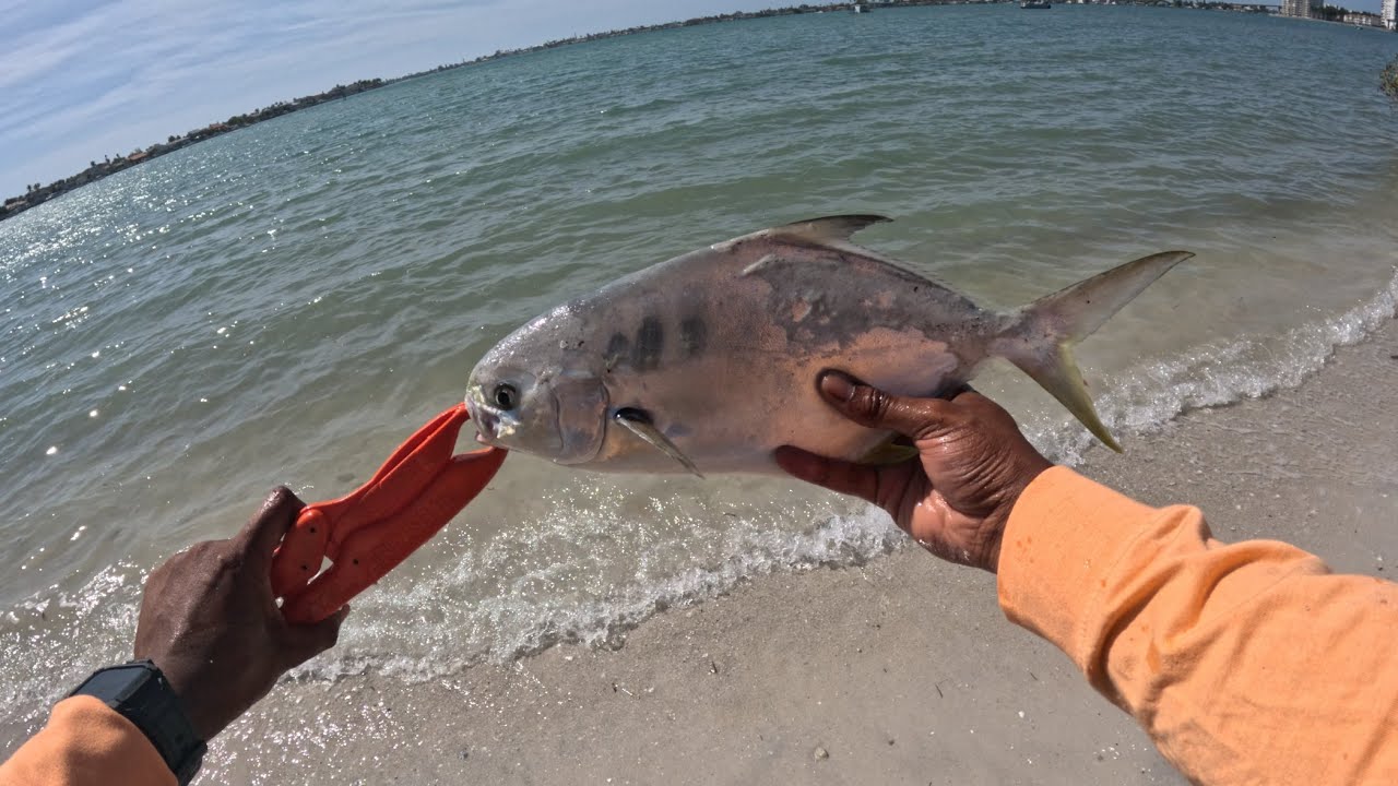 Florida Spring Fishing Is Here! The bite is HOT 🔥‼️ - YouTube