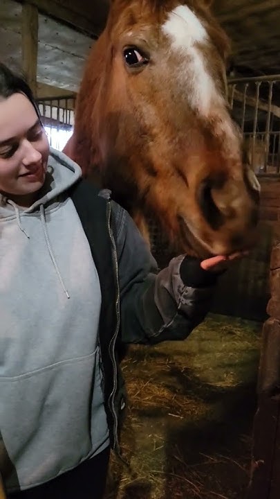 horsin' around - YouTube