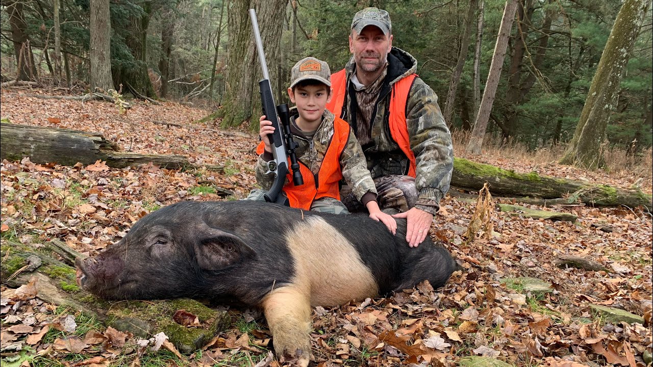 Father and Son Hog Hunt, at the Tioga Ranch. - YouTube
