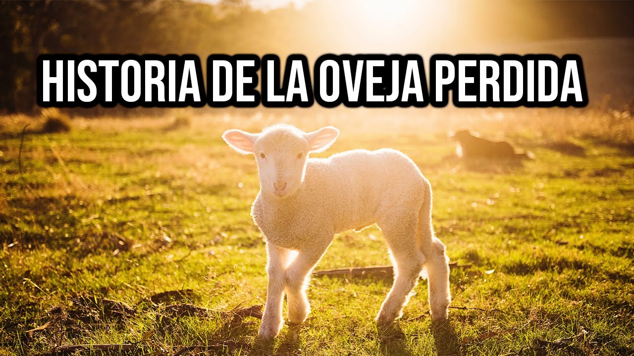 La oveja perdida - Reflexión - YouTube
