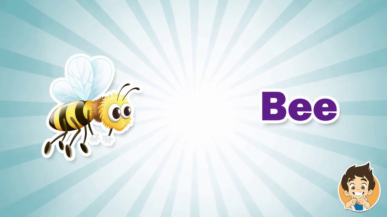 Kids vocabulary (Letter B) -｜English educational video for kids - YouTube