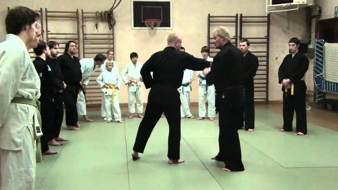 blocking Kosho Shorei Ryu Kempo - YouTube