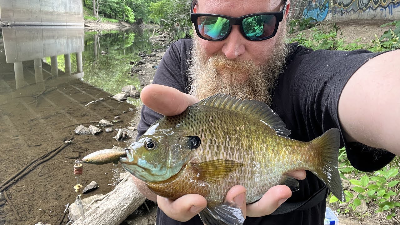 Random Michigan Fishing Video / Summer Fishing Perch, Trout, Bass ...