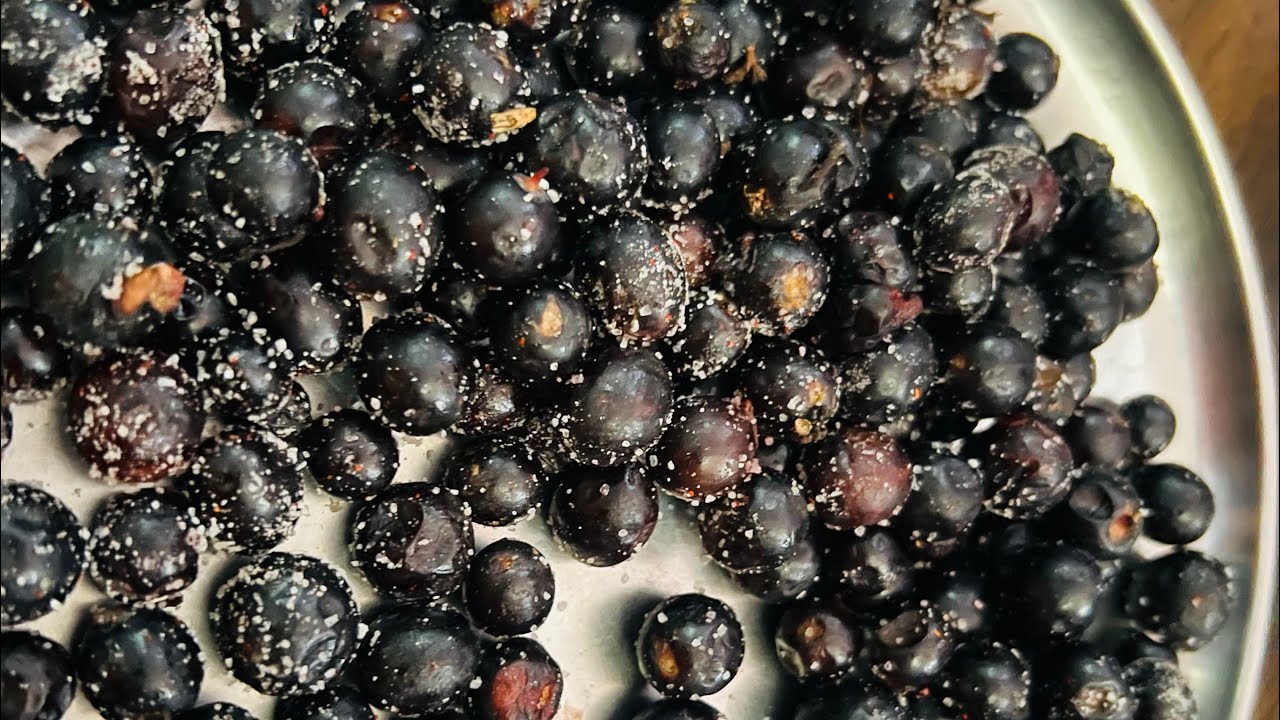 Kali maina #shorts #vairl #review #zariyabfam #youtube - YouTube