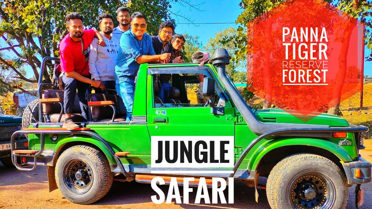 Jungle Safari At Panna Tiger Reserve Forest || All Details About This ...