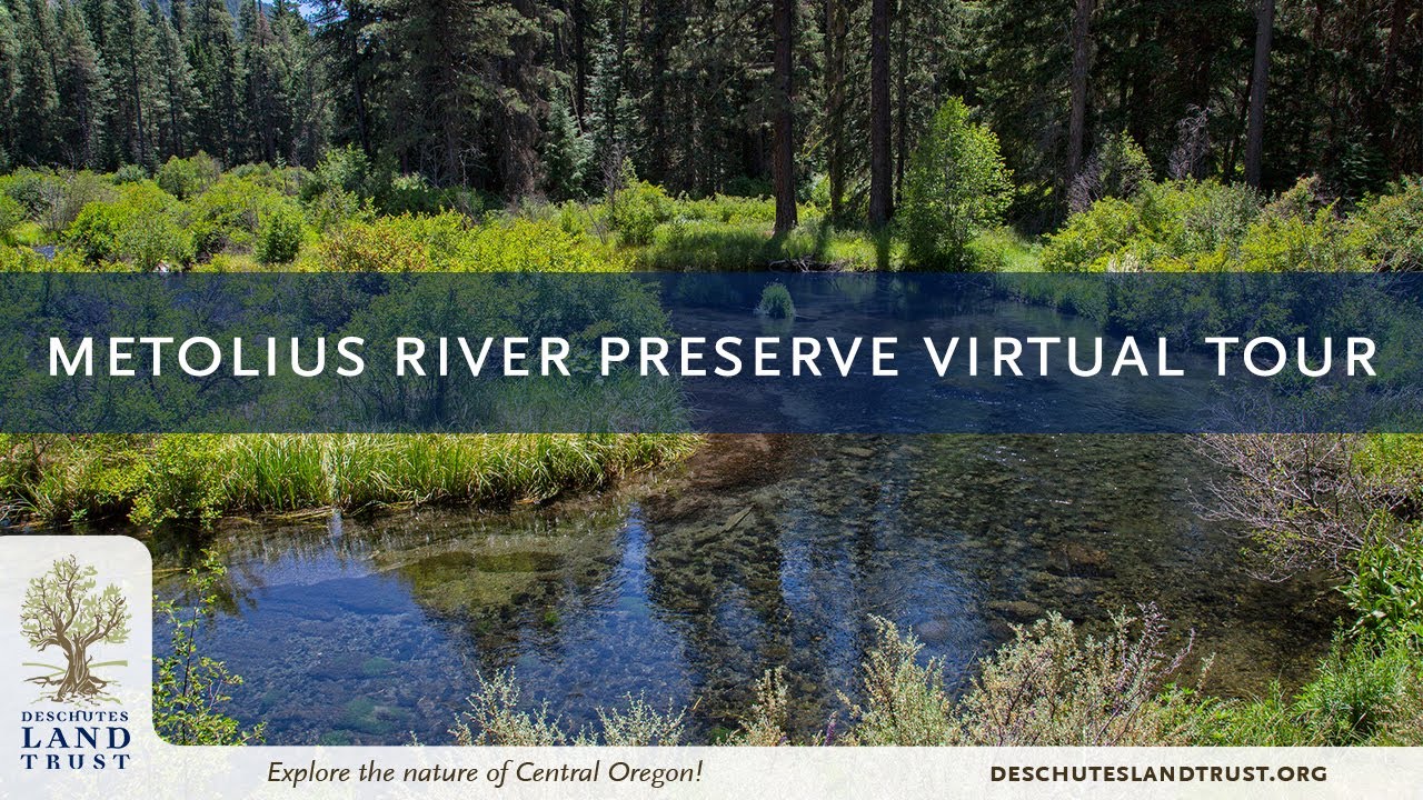 Welcome to the Metolius River Preserve! - YouTube