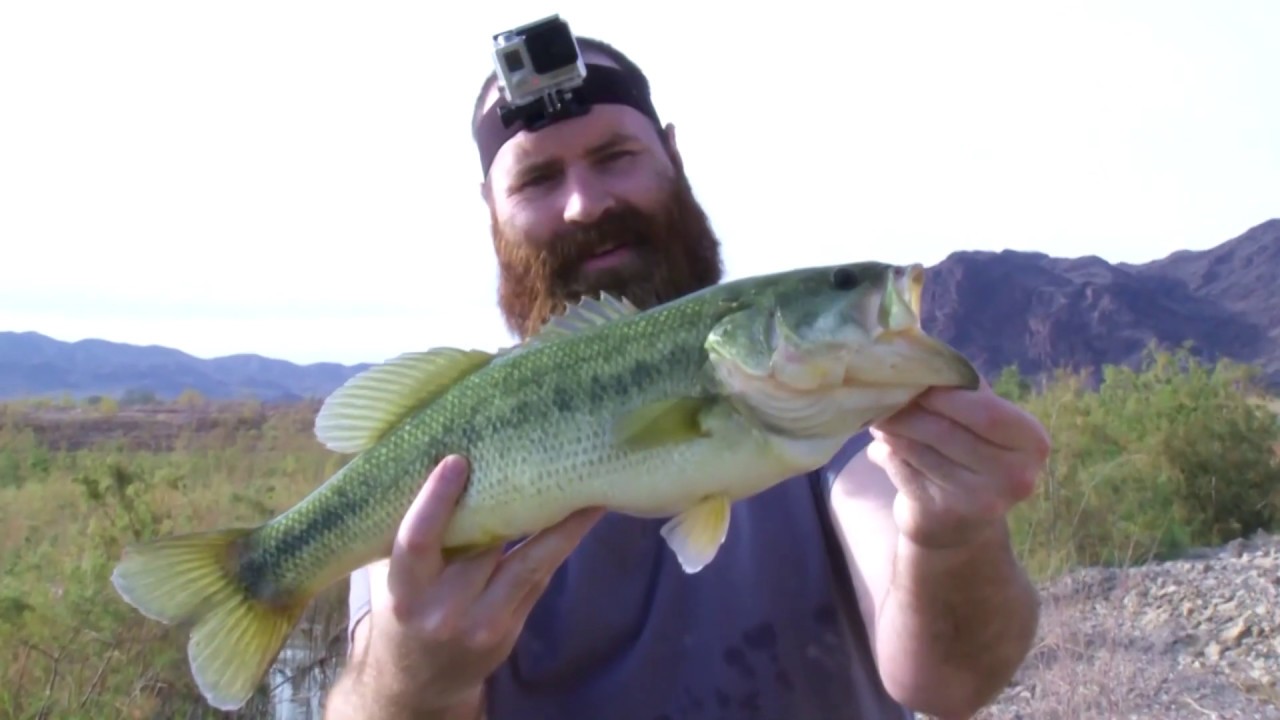 Andy Goes Fishing - Another year in the books - YouTube