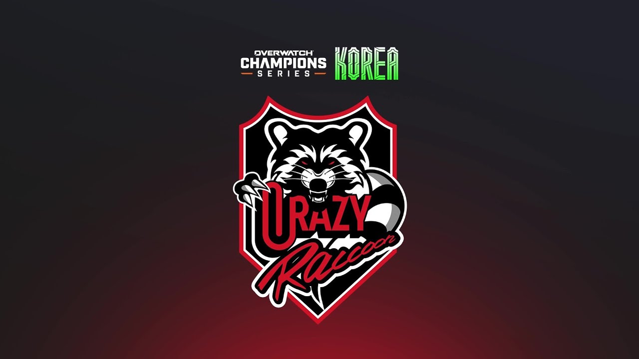 [팀 인터뷰] CRAZY RACCOON｜OWCS KOREA STAGE 2 - YouTube