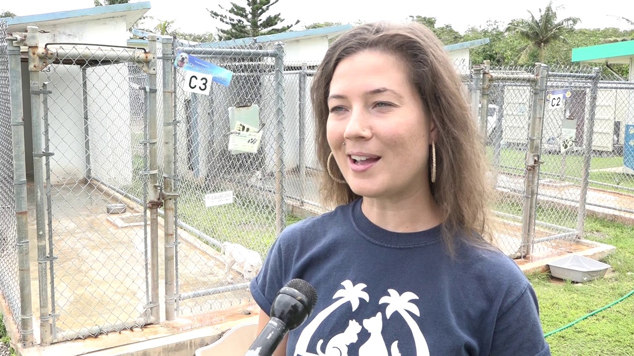 Clear the Shelters, Part 5: GAIN's Alison Hadley - YouTube