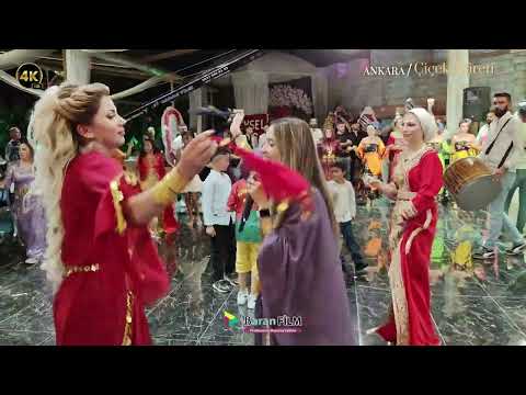 Çiçek Aşireti Levent Çiçeğin Oğlu Harun Batu Sünnet Töreni Klip 2023 / Ankara