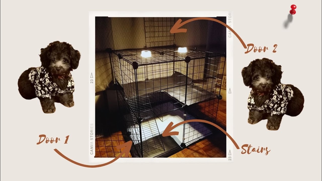 Aesthetic Dog Condo House With 2nd floor - Watch My Mom And Dad ...