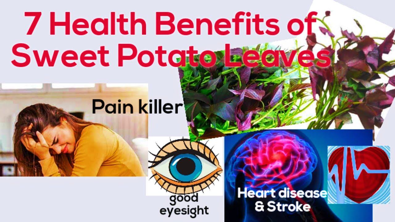 7 Health Benefits of eating sweet potato leaves (talbos) - YouTube
