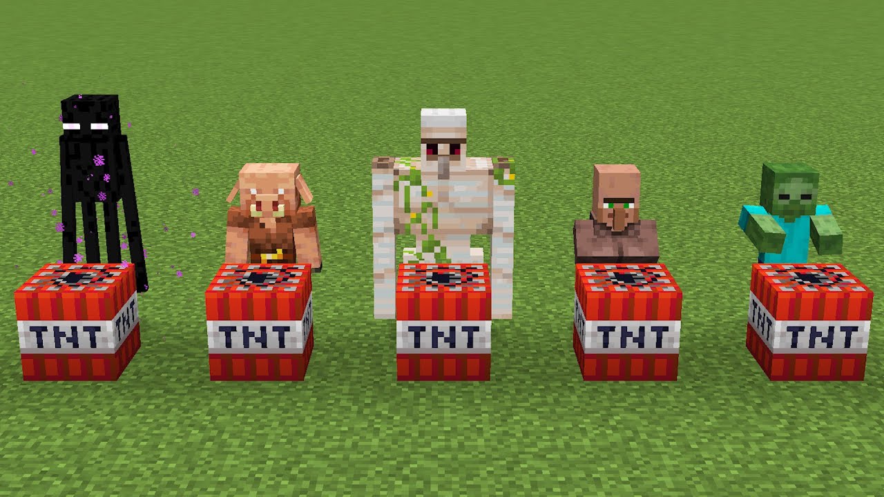 which mob will survive from tnt explodes - YouTube