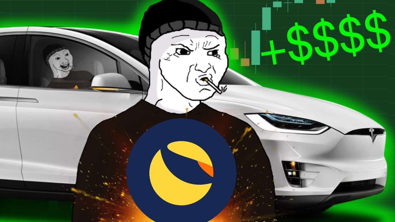 WOJAK BUYS A NEW TESLA WITH CRYPTO GAINS - YouTube