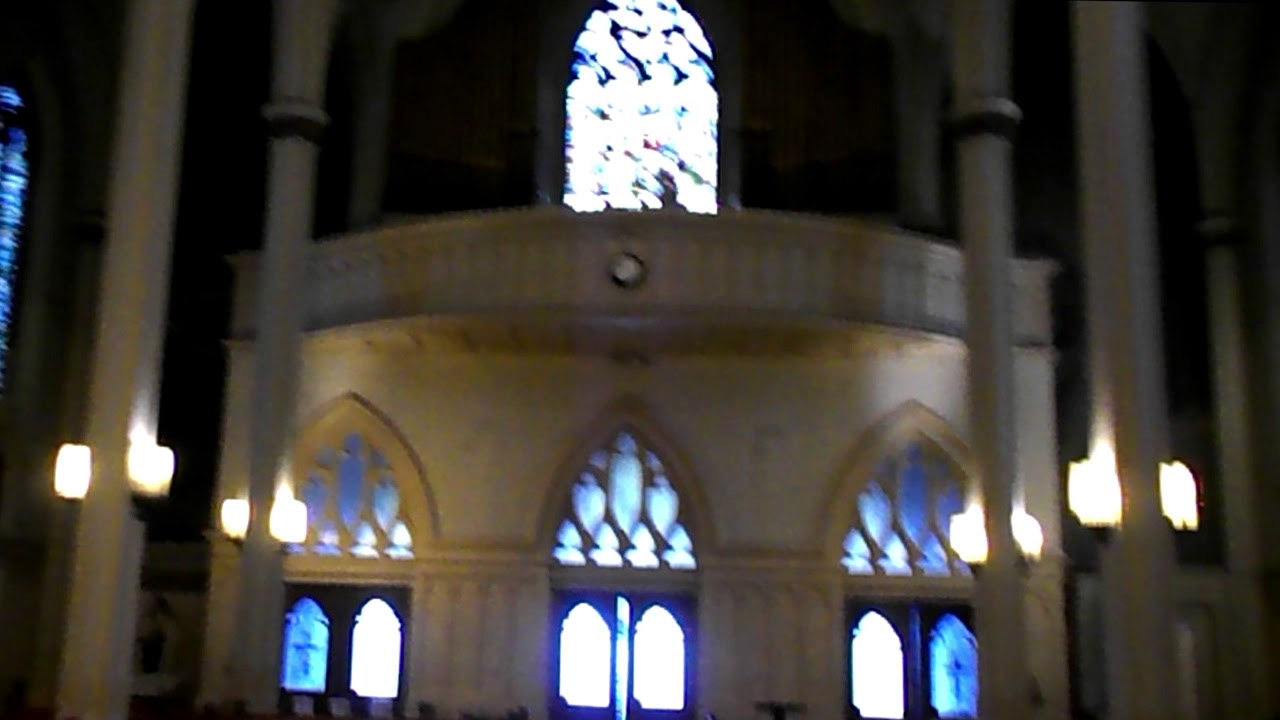 John Probst in San Francisco - 2019 - Video 1 - YouTube