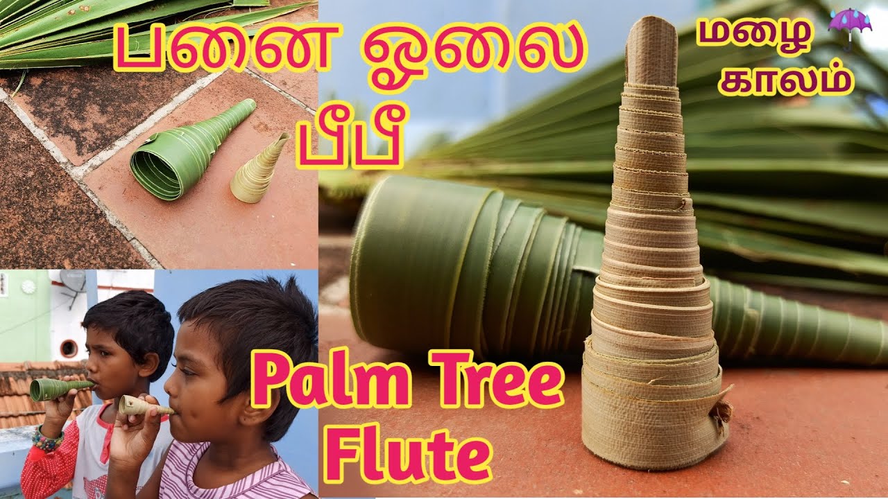 Flute making...panai olai flute..பனை ஓலை பீபீ...palm leaf flute # ...