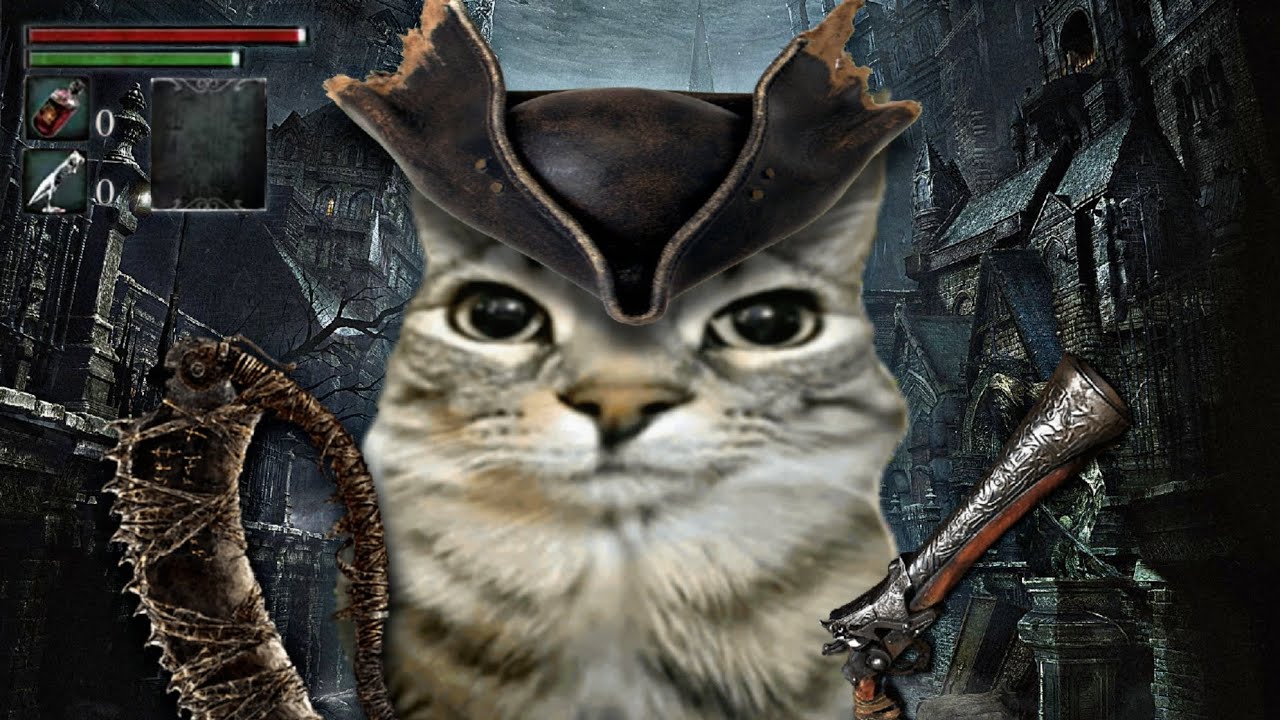 Bloodborne, Explained With Cats - YouTube