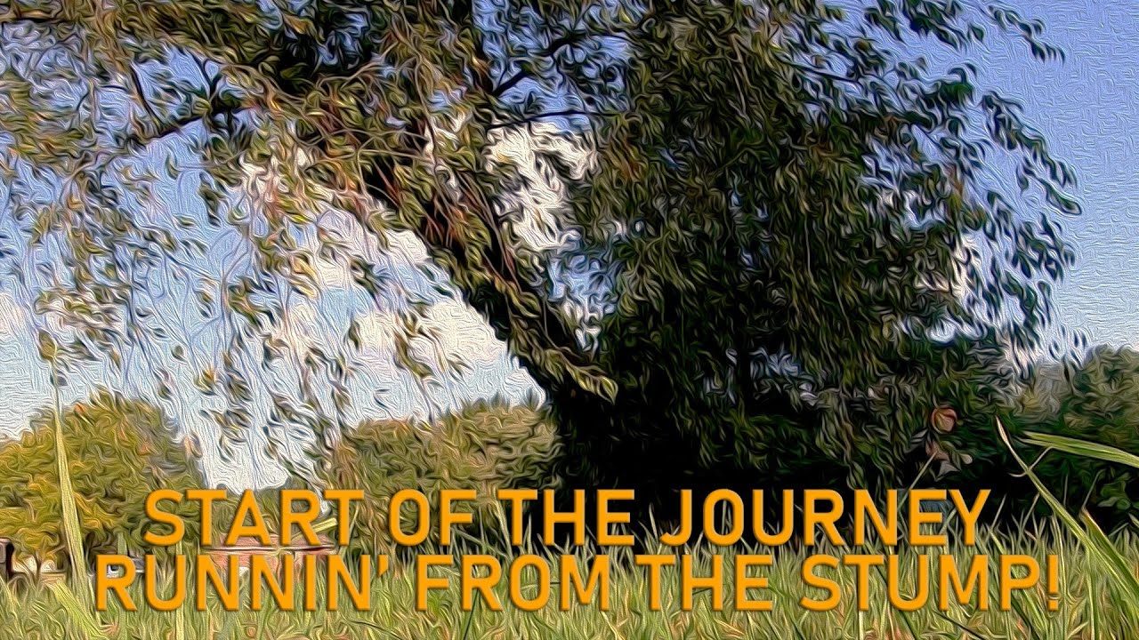 Start of the Journey - Tree Felling - 3 Trees Coming DOWN! - YouTube