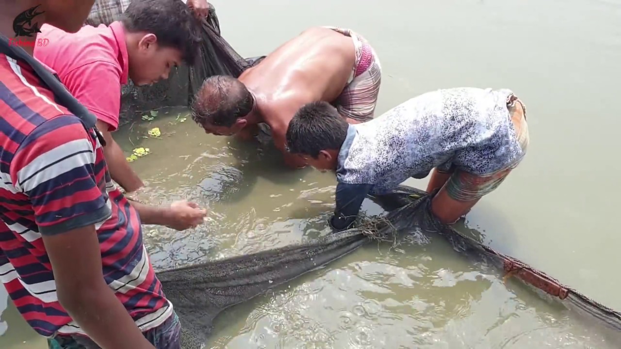 Net Fishing | Best Net Fishing in Village Pond | People Catching Huge ...